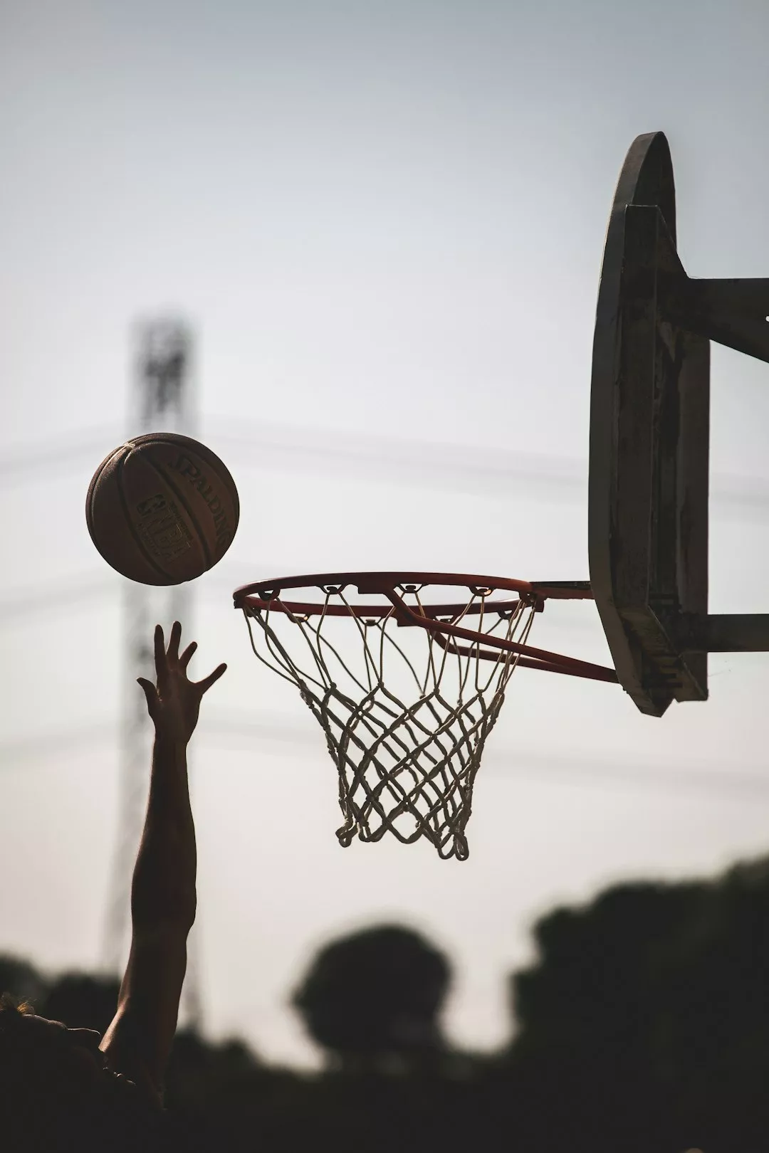 "The Essential Role of Deportes: More Than Just Sports" - Daily Review